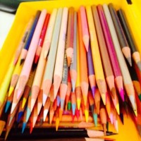 Memoirs of an Emotional Fish – Loving Life